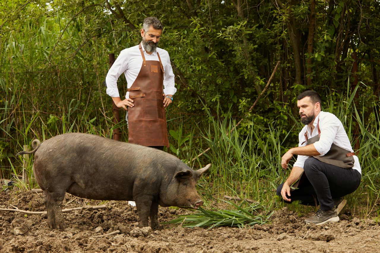 Tenorul Vlad Miriță și antreprenorul Dan Cîrstea lansează ferma de ...