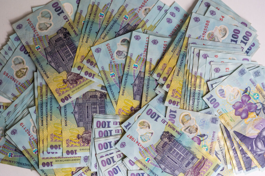 BNR: Indicele ROBOR la trei luni a crescut la 7,29% - New Money