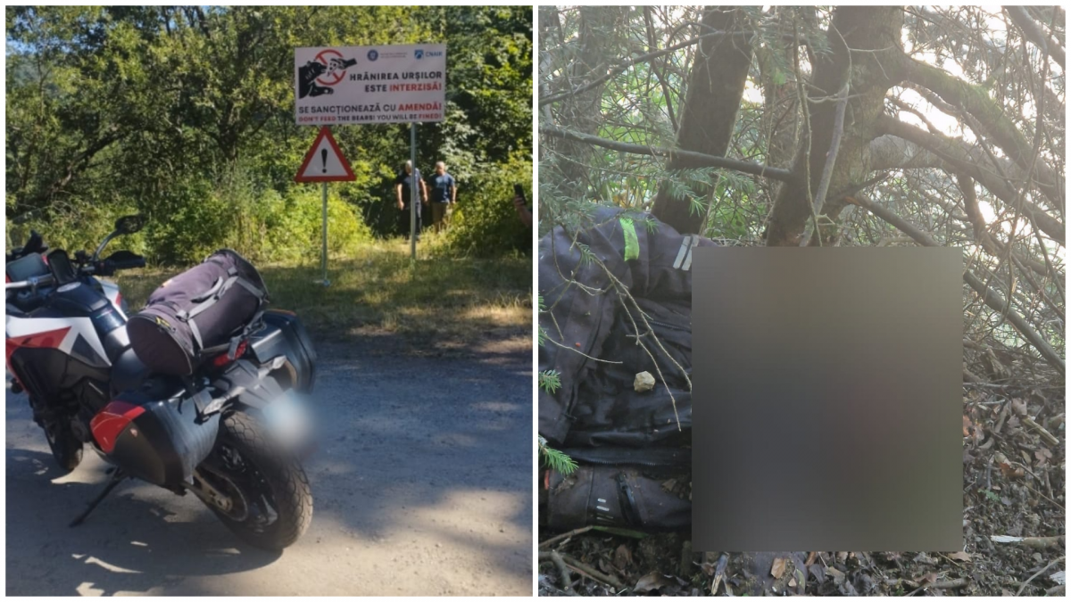 TRAGEDIE. Un urs a omorât un motociclist, pe Transfăgărăşan. Se ...